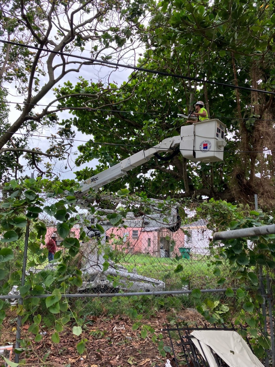 RIGHT OF WAY VEGETATION MANAGEMENT – Dark Horse Companies